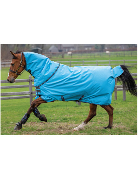 Amigo Hero 900 Plus 200g