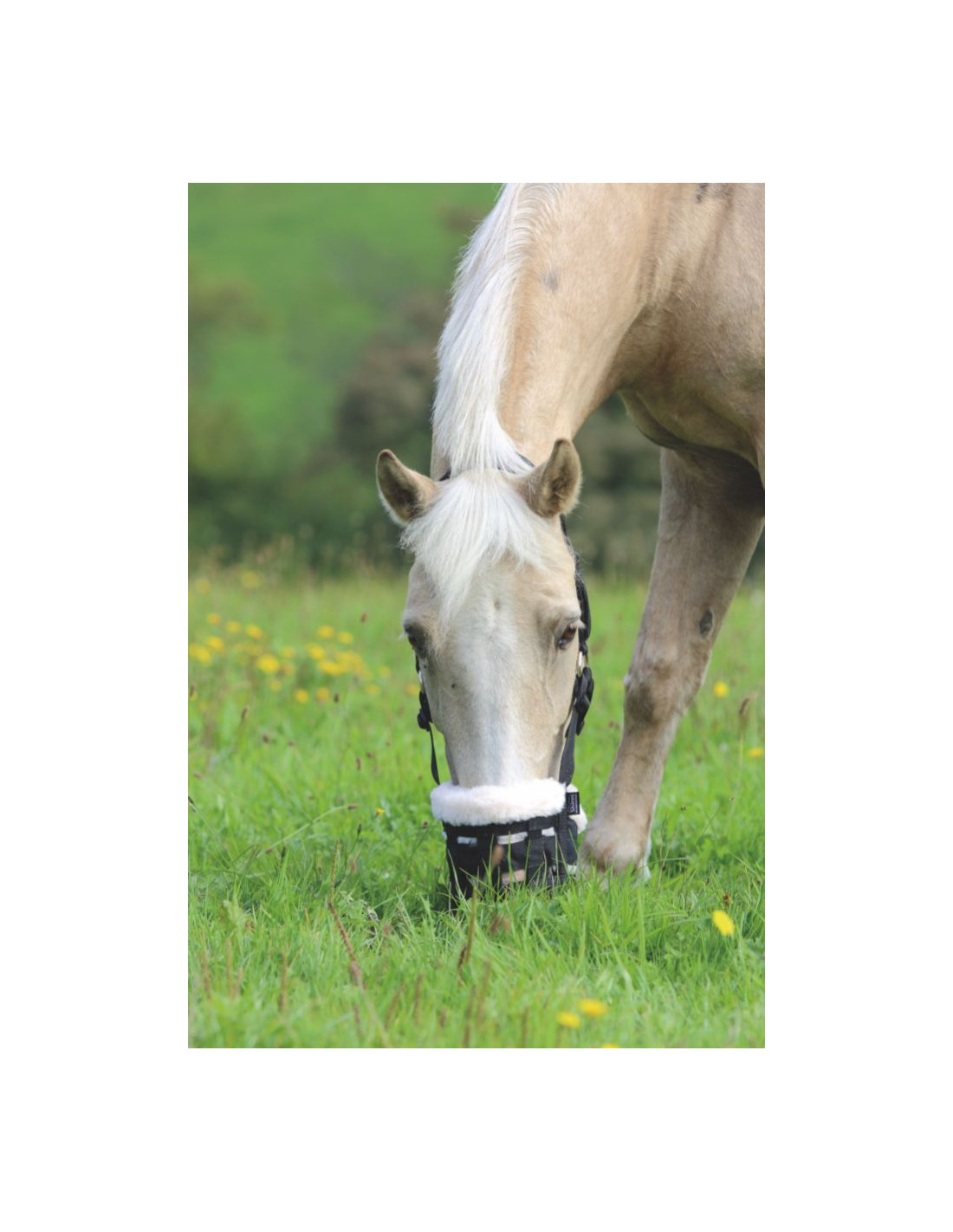 Shires Munkorg med ludd Deluxe Comfort